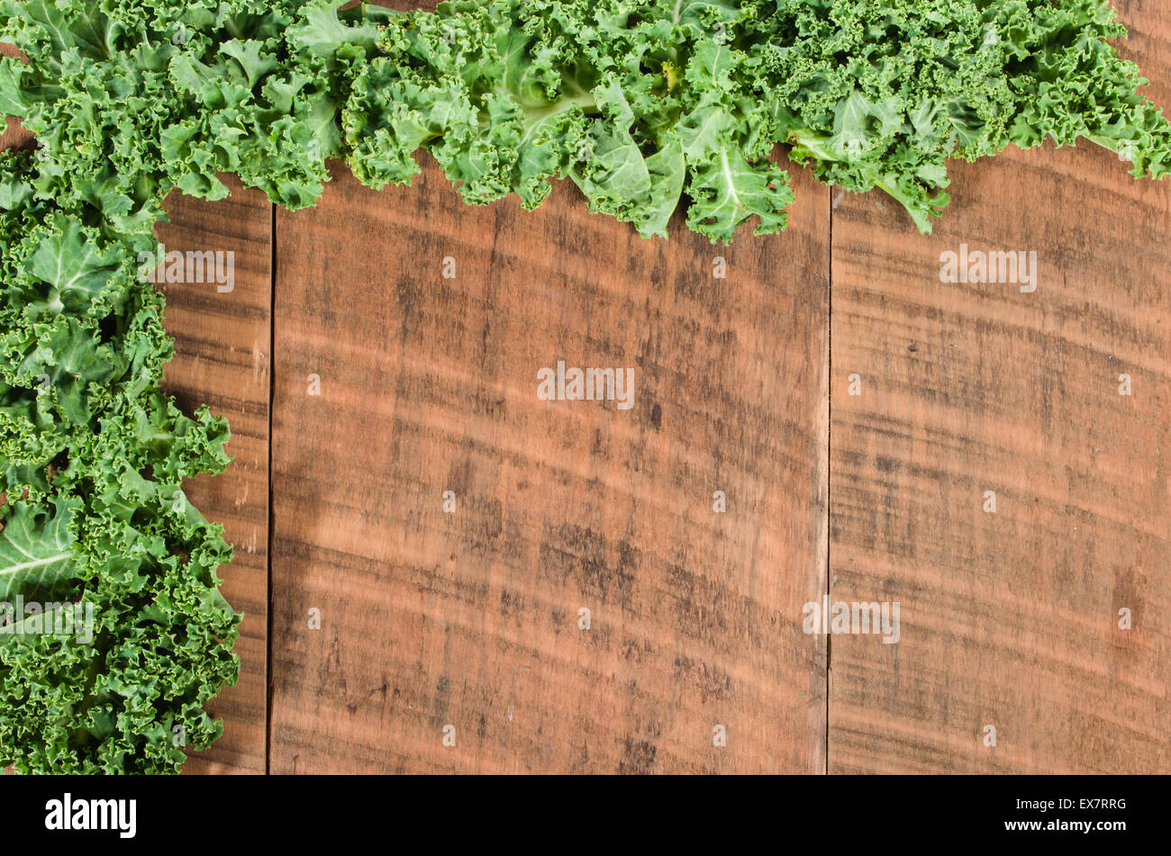 Curley kale leaves for use as border Stock Photo - Alamy