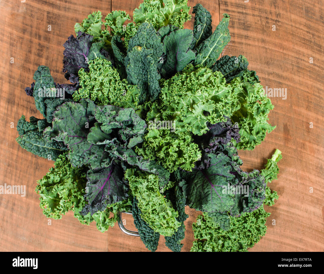 Red green curly leafy hi-res stock photography and images - Alamy