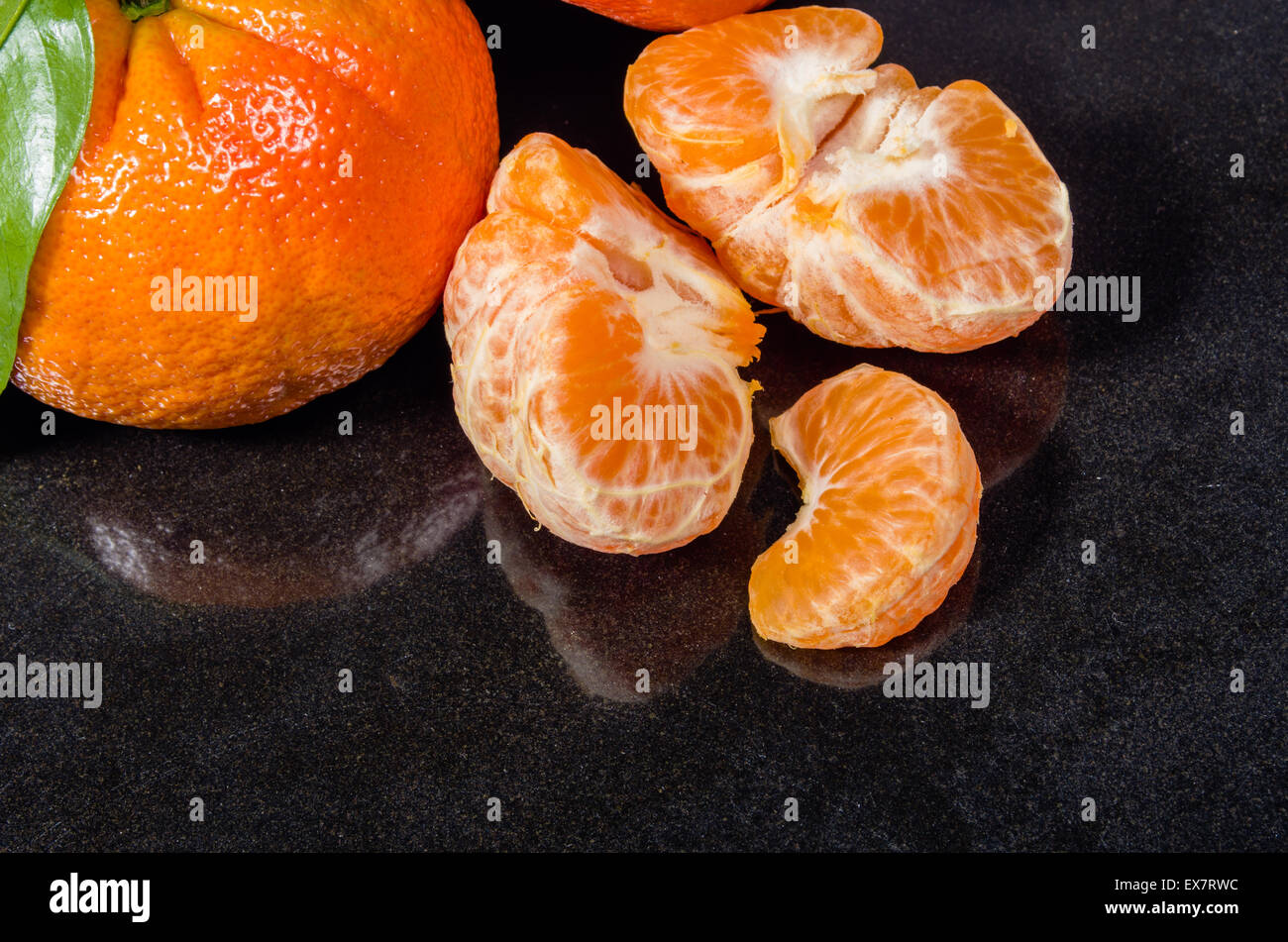 Sections of leaves hi-res stock photography and images - Alamy