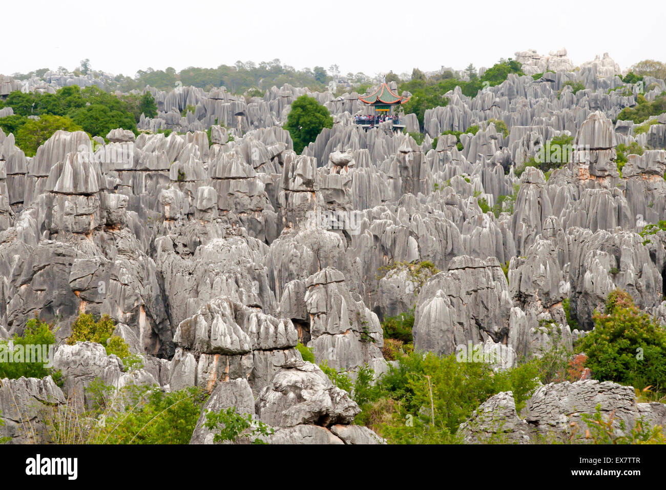 Shilin Stone Forest - Kunming - China Stock Photo - Alamy