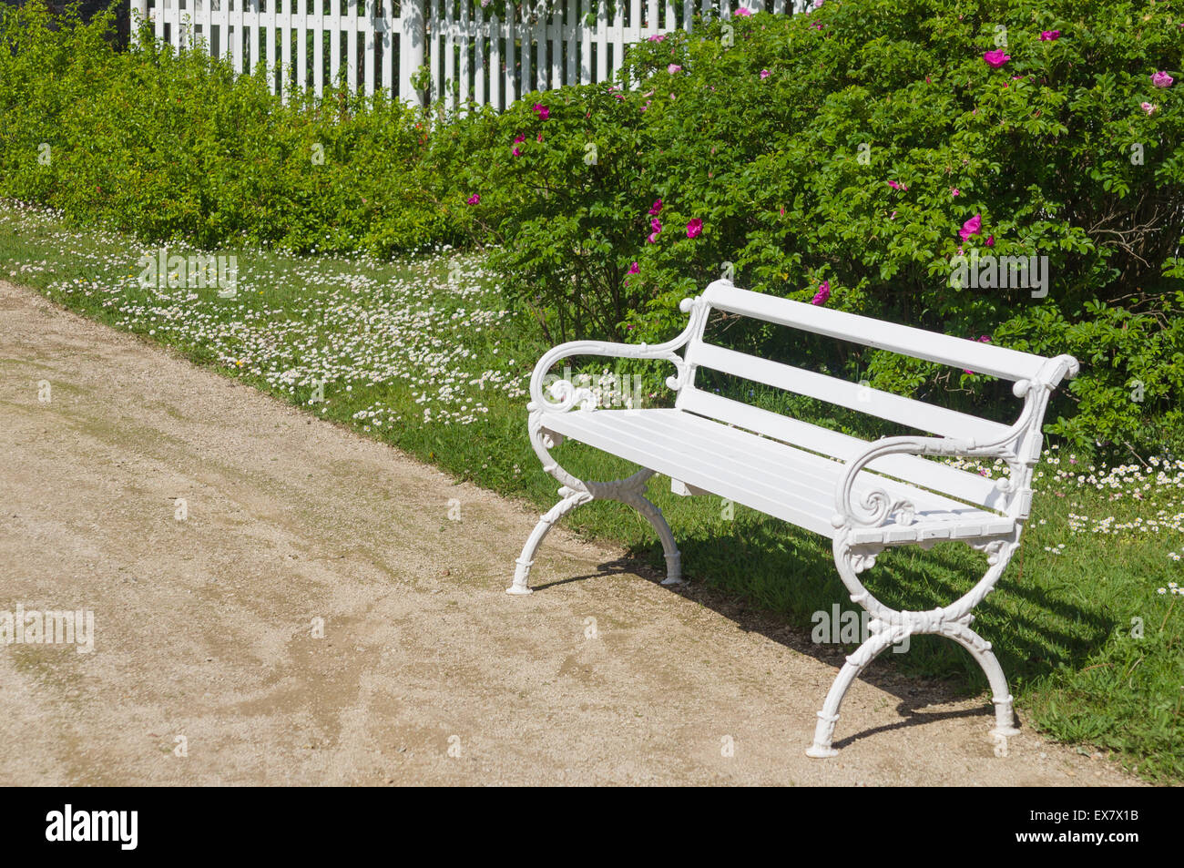 Decorative white bench in garden, bush and flowers on background Stock ...
