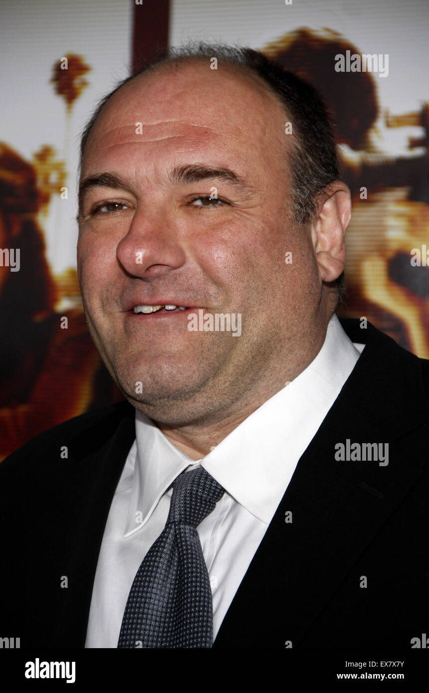 Matthew Cardillo's Instagram, Twitter & Facebook on IDCrawl