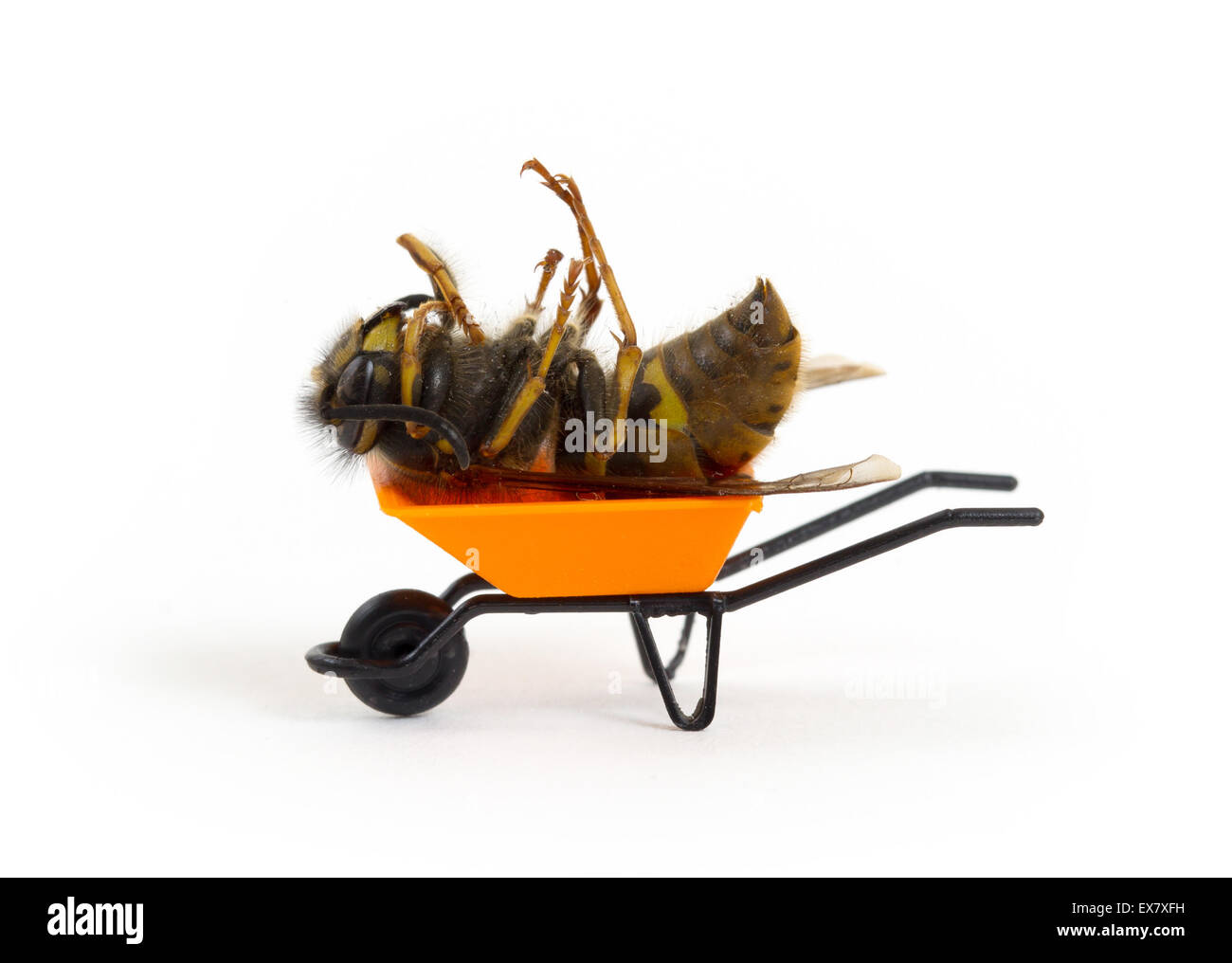 Detailed miniature Cut Out Stock Images & Pictures - Alamy