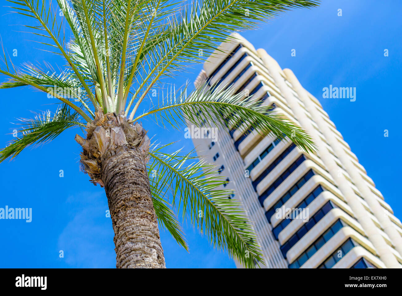Green trees on buildings hi-res stock photography and images - Alamy