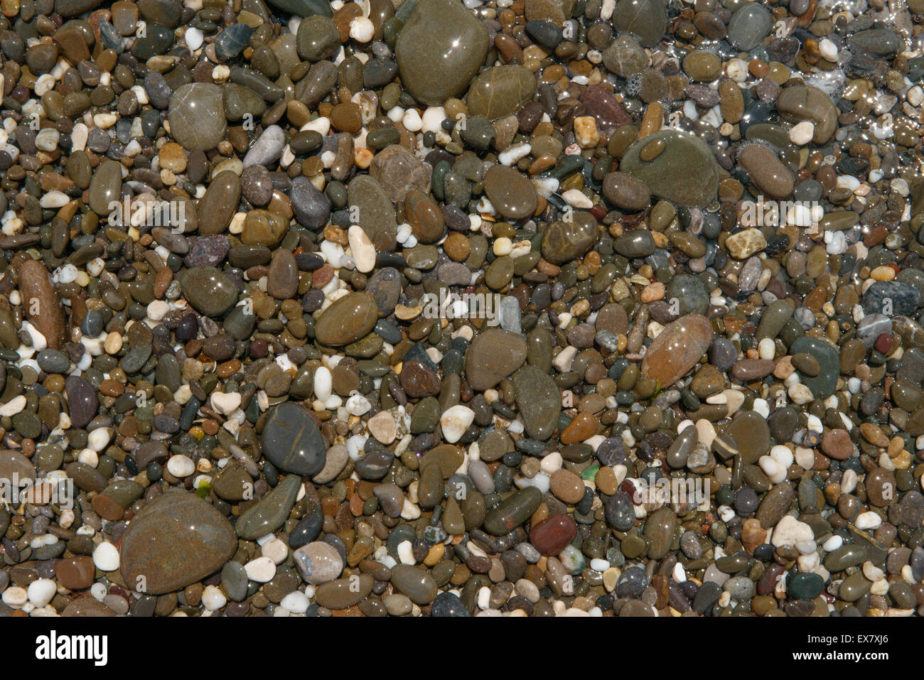 Close-up view of wet multicolored pebble of sea beach as a background ...