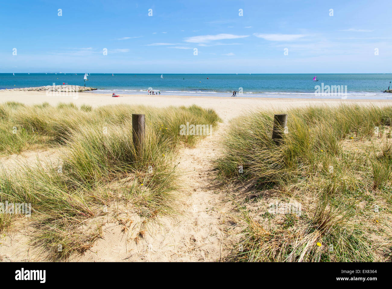 Sand dunes on Sandbanks beach landscape in Summer Stock Photo - Alamy