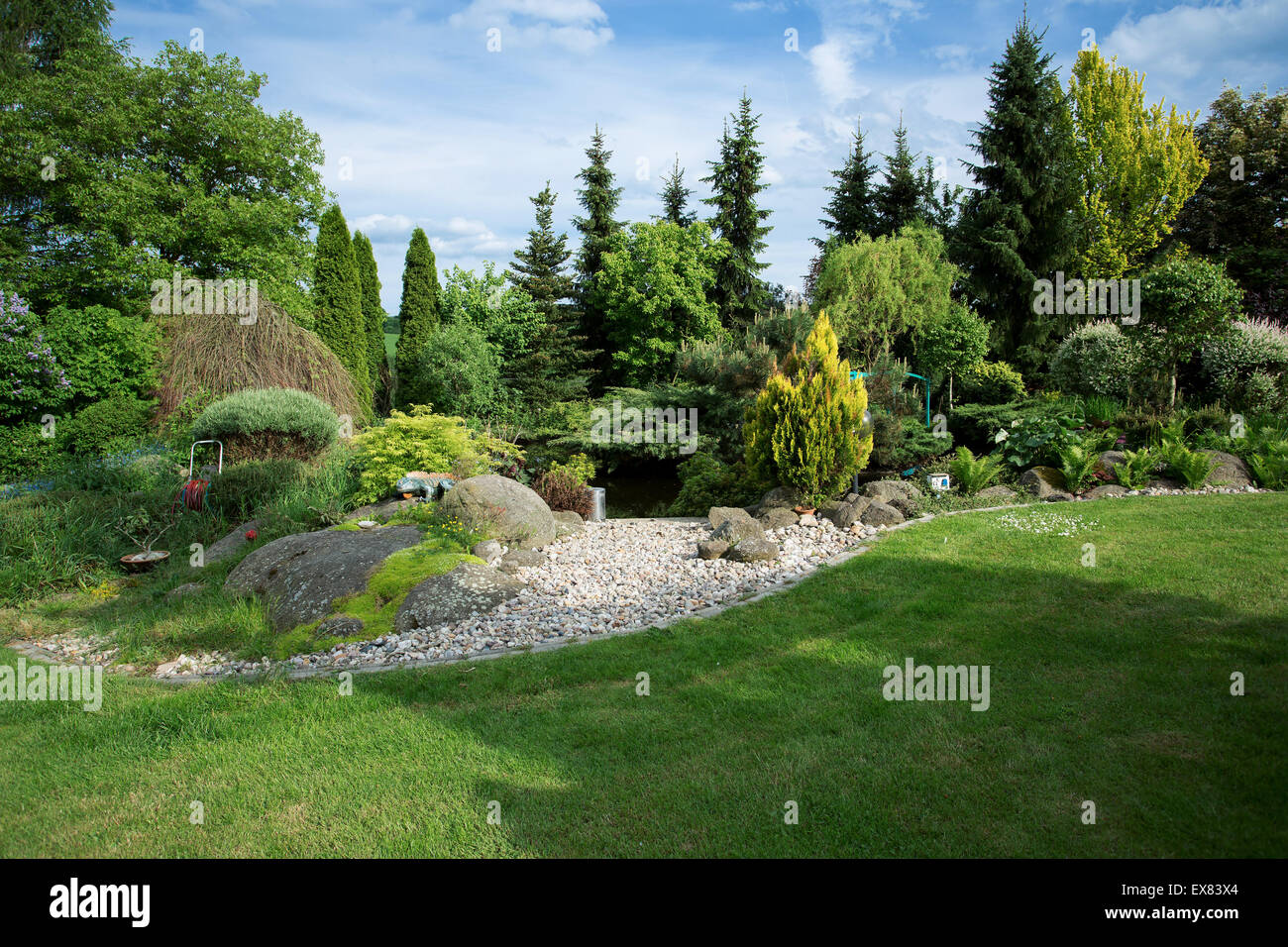 Beautiful spring garden design, with conifer trees, green grass and ...