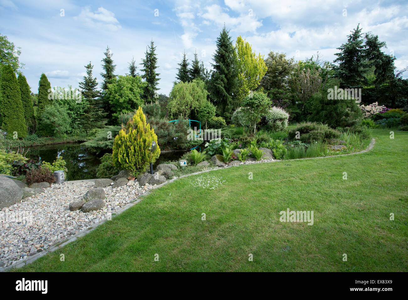 Beautiful spring garden design, with conifer trees, green grass and ...