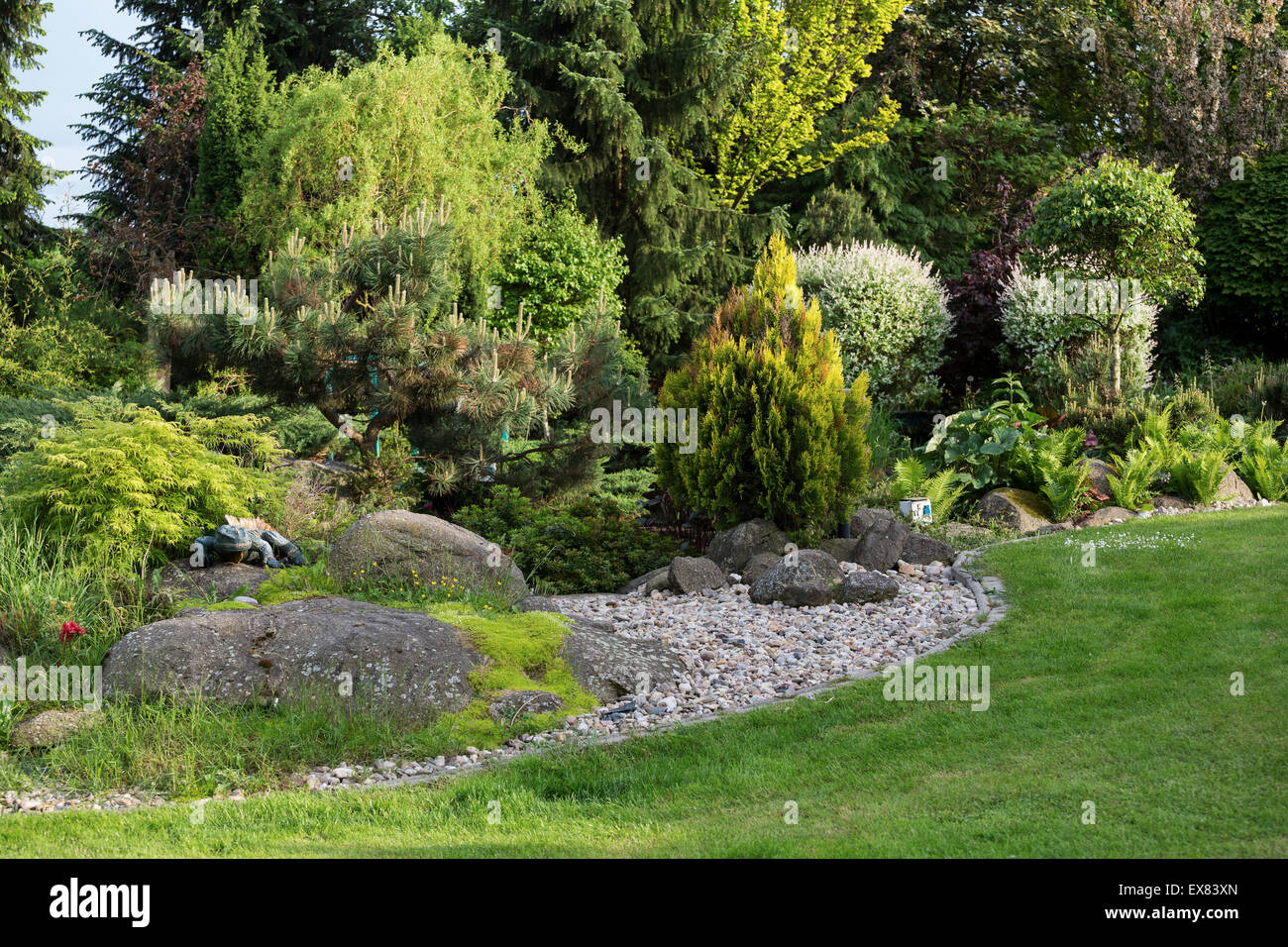 Beautiful spring garden design, with conifer trees, green grass and ...