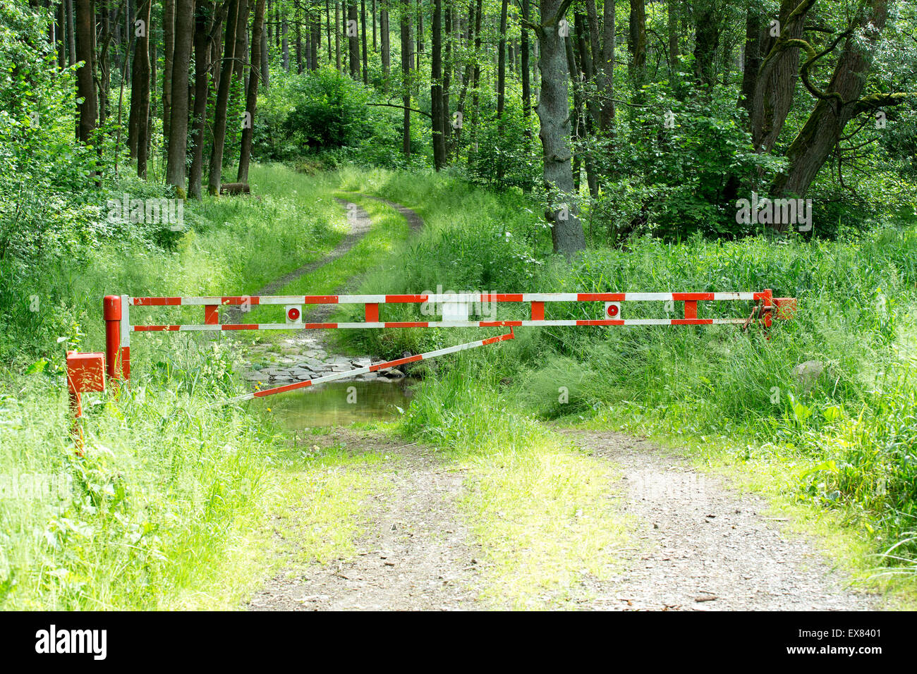 barrier gate on rural path with forest background usage Stock Photo - Alamy