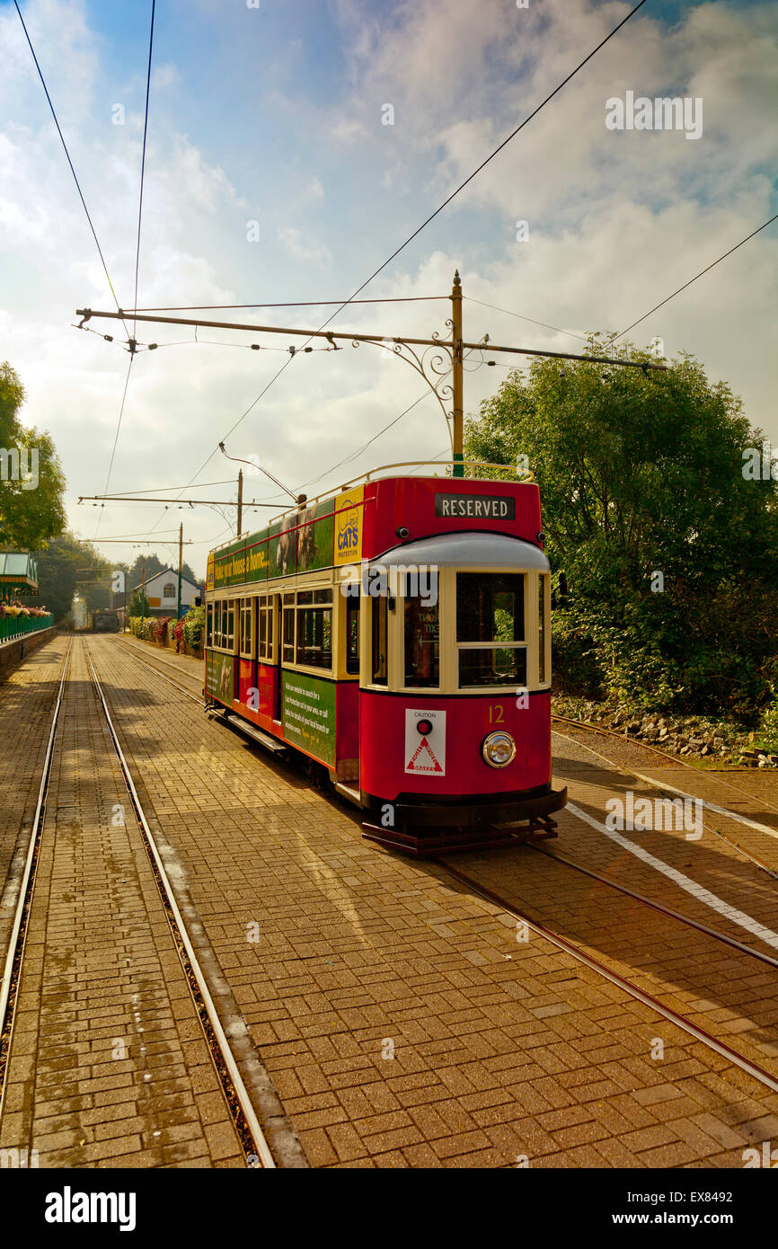 One of the many colourful replica trams at the Colyton terminus of the ...