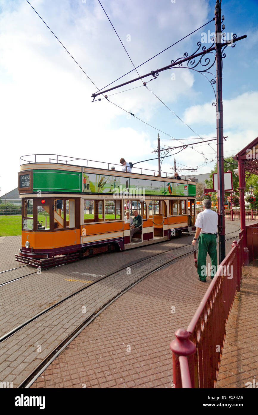 One of the many colourful replica trams at the Seaton terminus of the ...