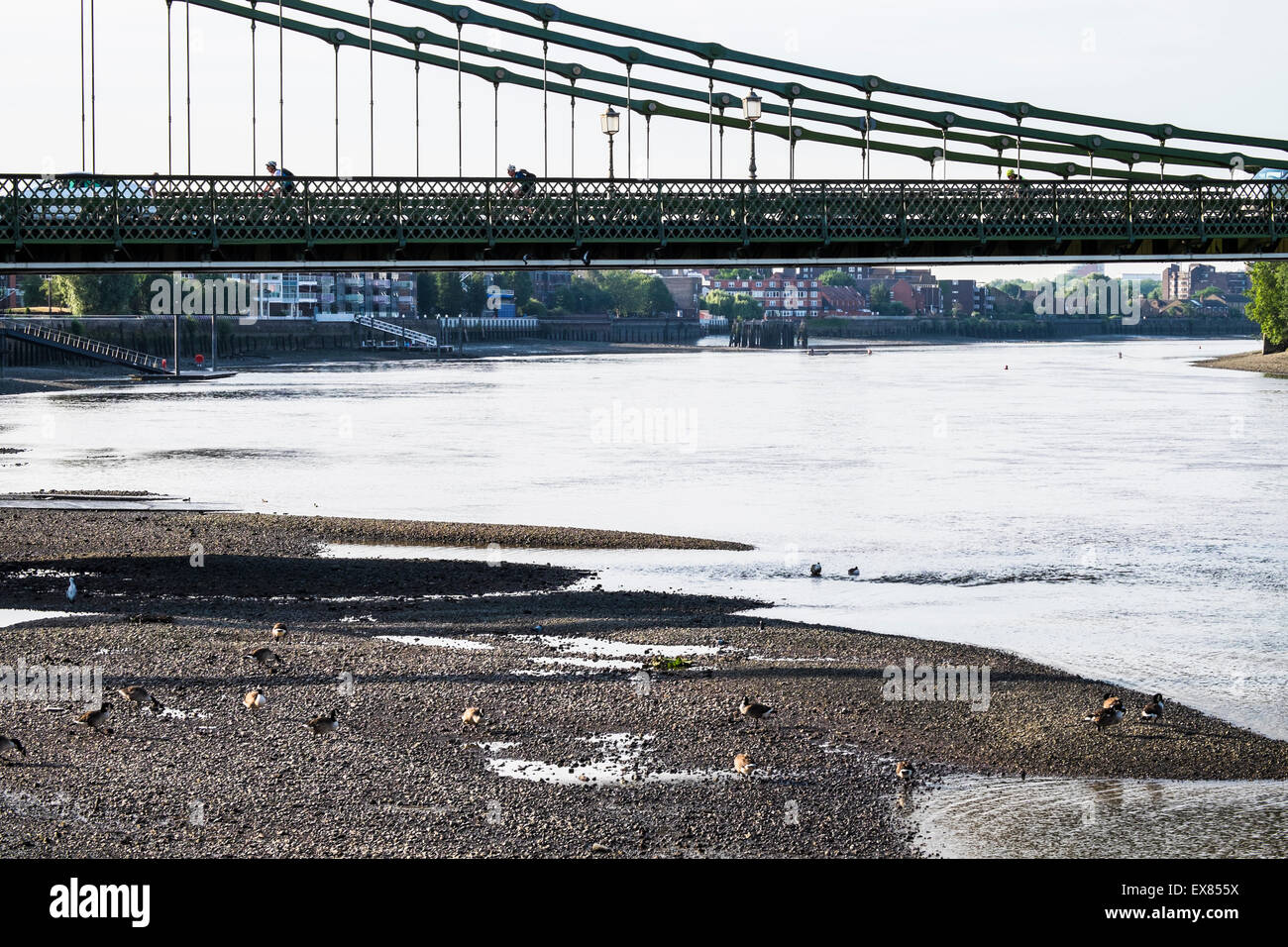 Hammersmith bridge crossing the river Thames London, England, U.K Stock ...