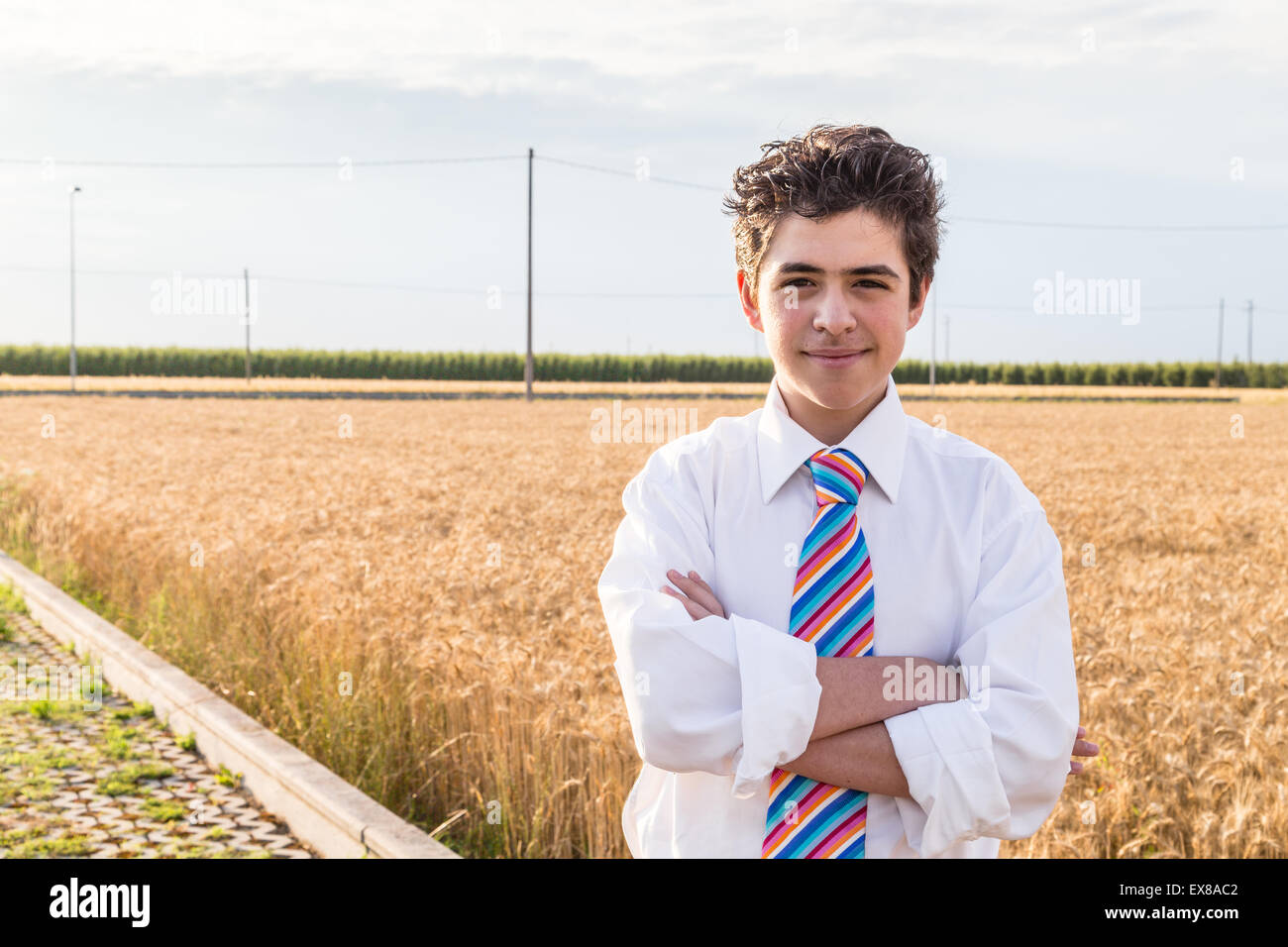 Handsome Caucasian boy wearing a white shirt and a regimental tie with ...