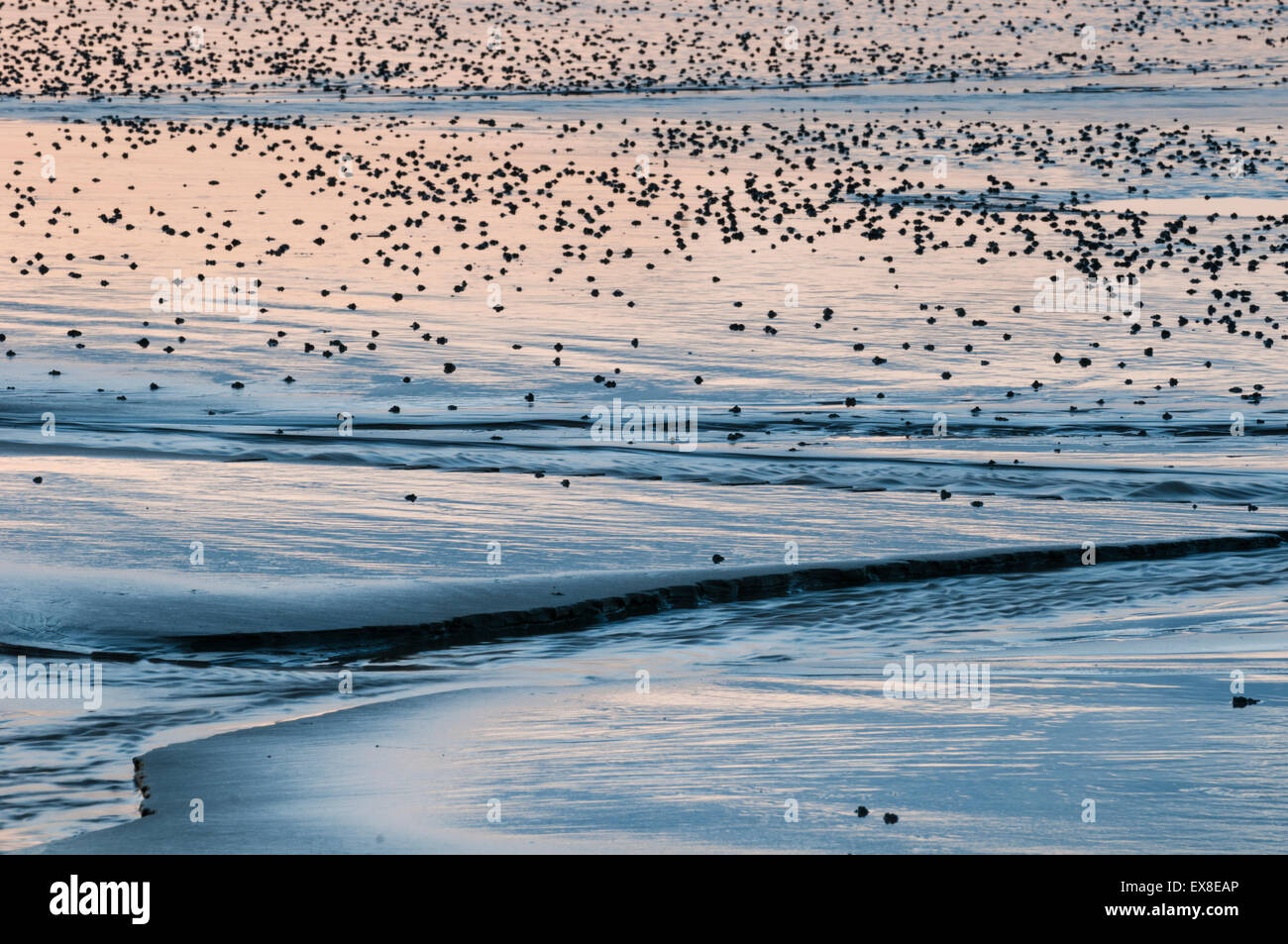 Coastal landscapes hi-res stock photography and images - Alamy