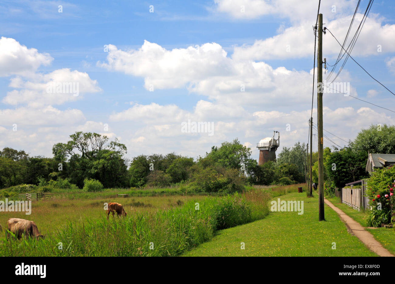 Thurne windmill summer hi-res stock photography and images - Alamy