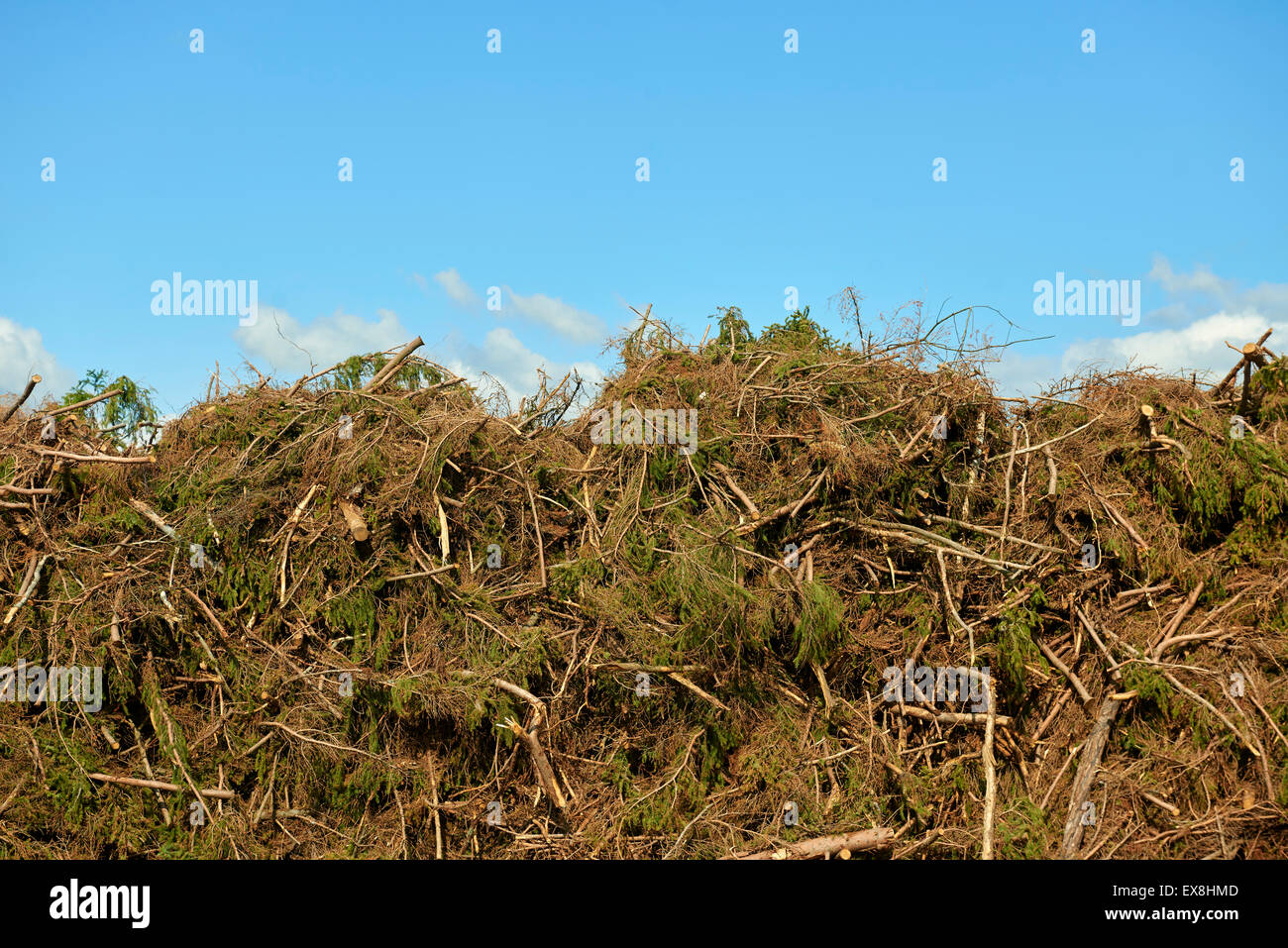Stacks of logs and branches, Pile of wood, firewood, Branch stack in ...