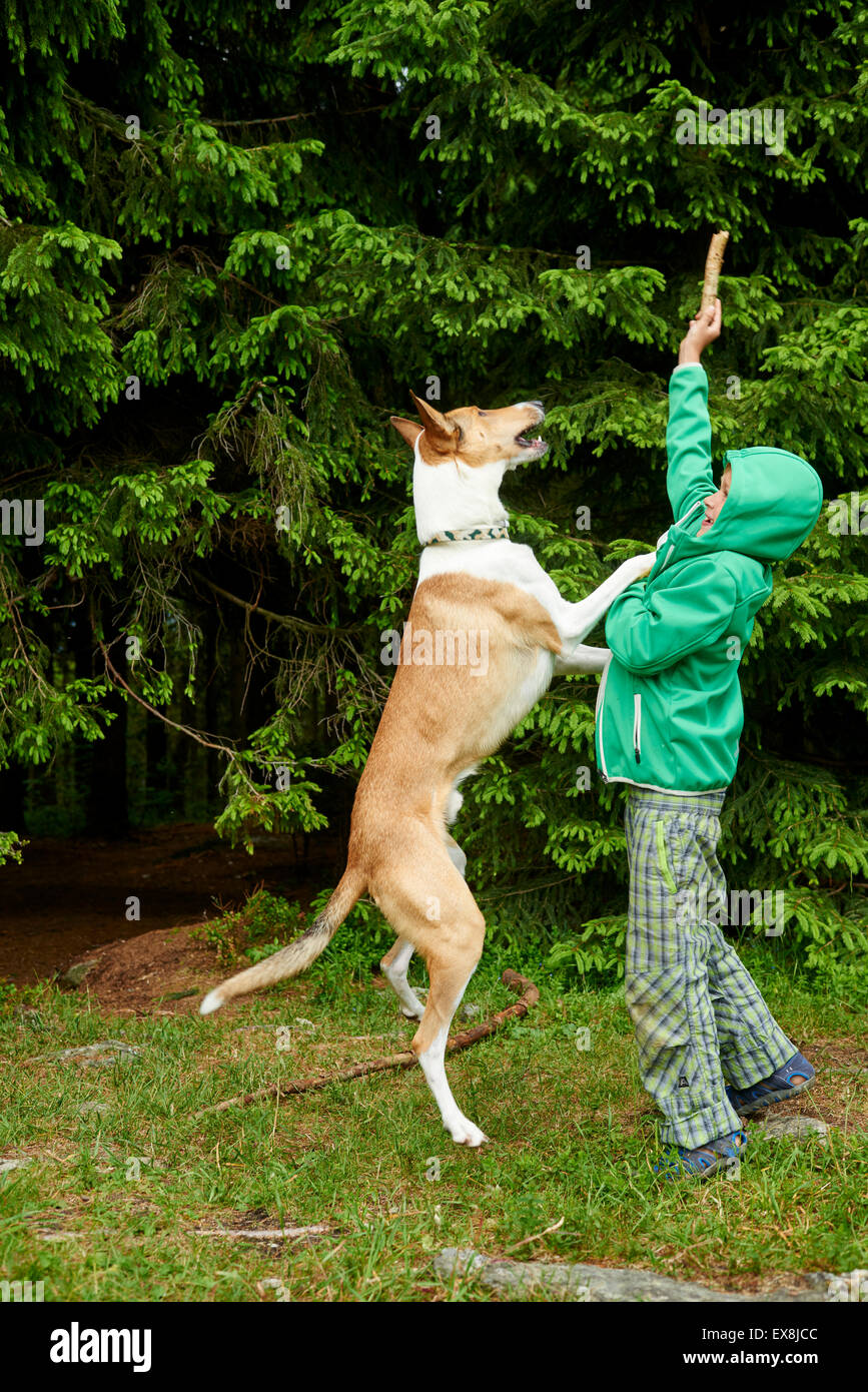 Throwing stick hi-res stock photography and images - Alamy