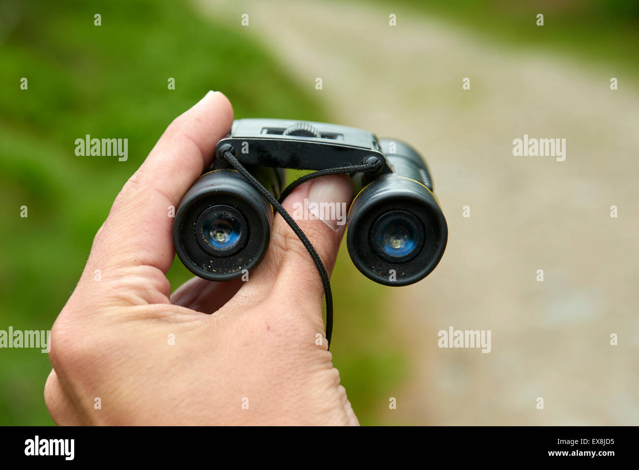 Child boy using binoculars at forest Stock Photo - Alamy