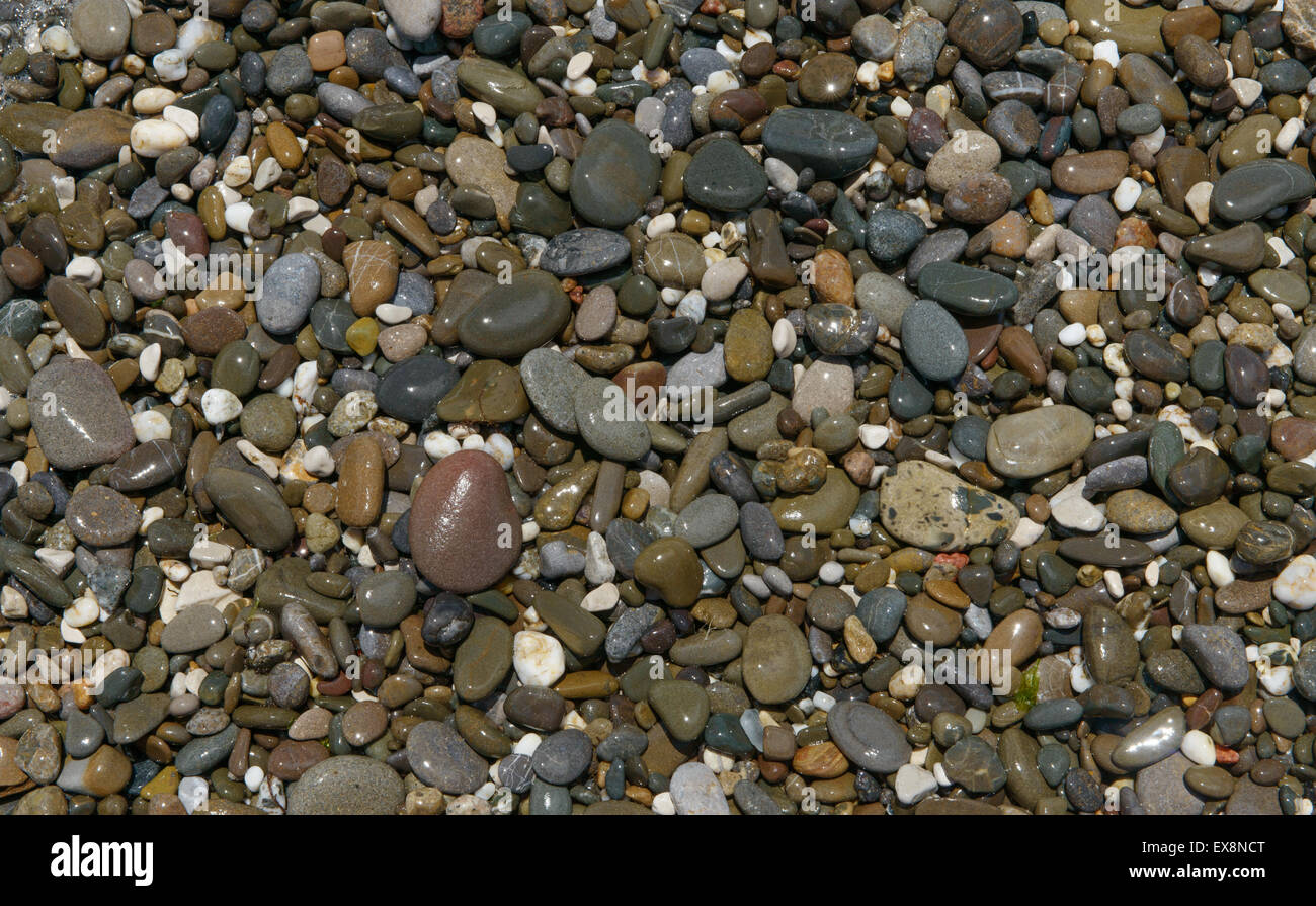 Close-up view of wet multicolored pebble of sea beach as a background ...
