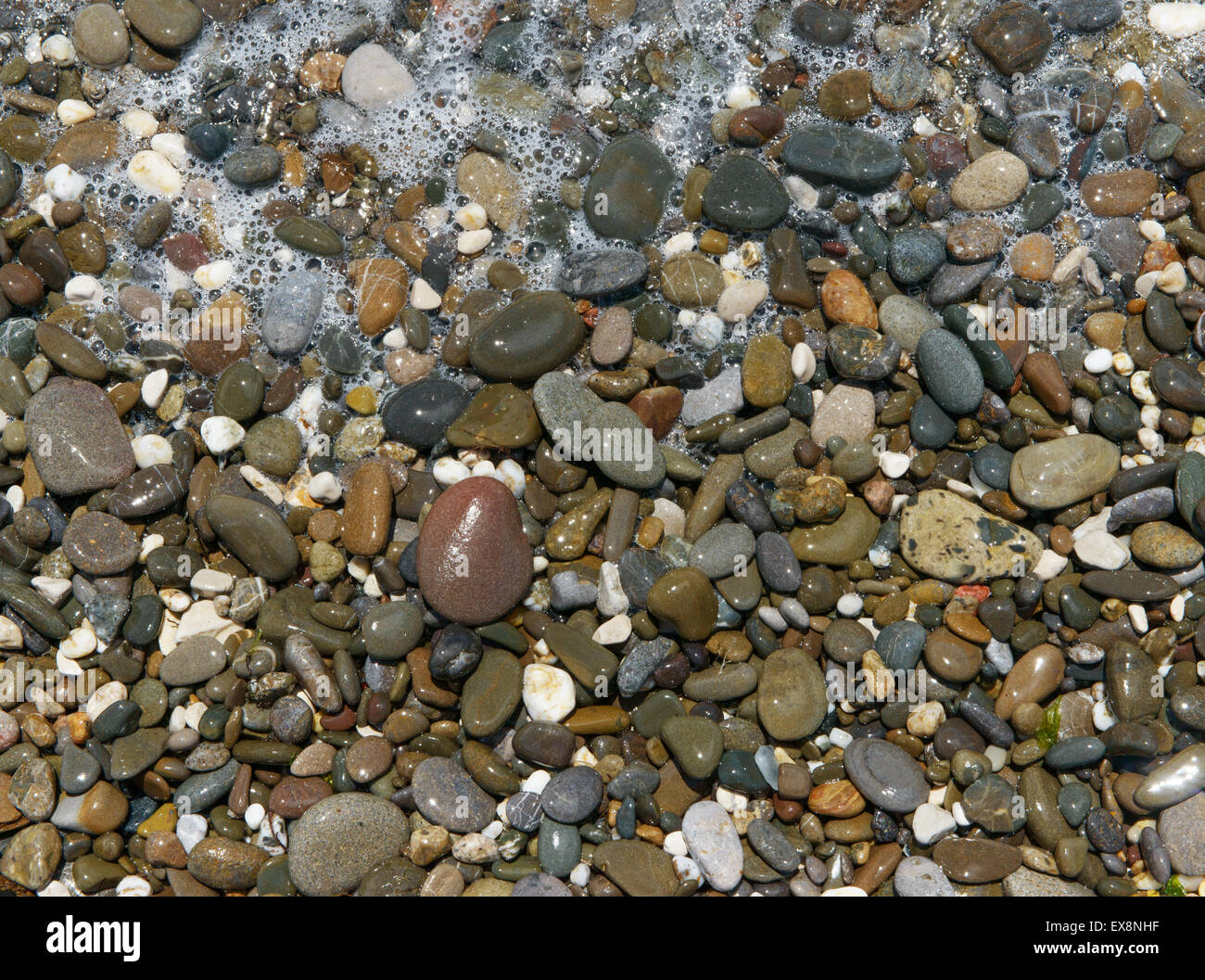 Close-up view of wet beach pebble of various colors in bubbles of surf ...