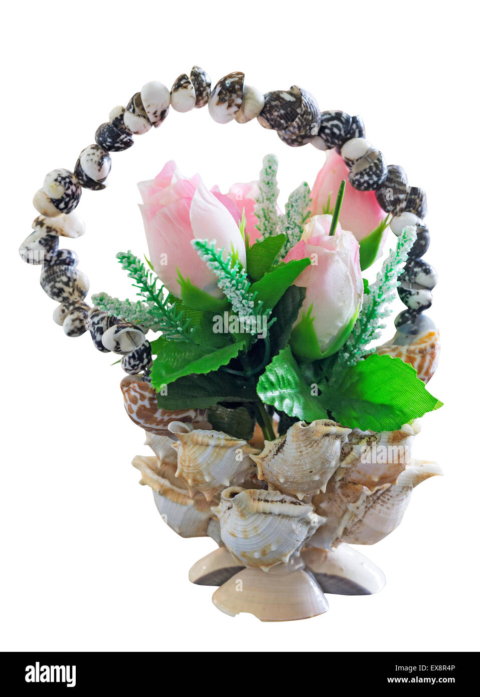 Pink rose arrangement in seashells vase isolated on white background ...