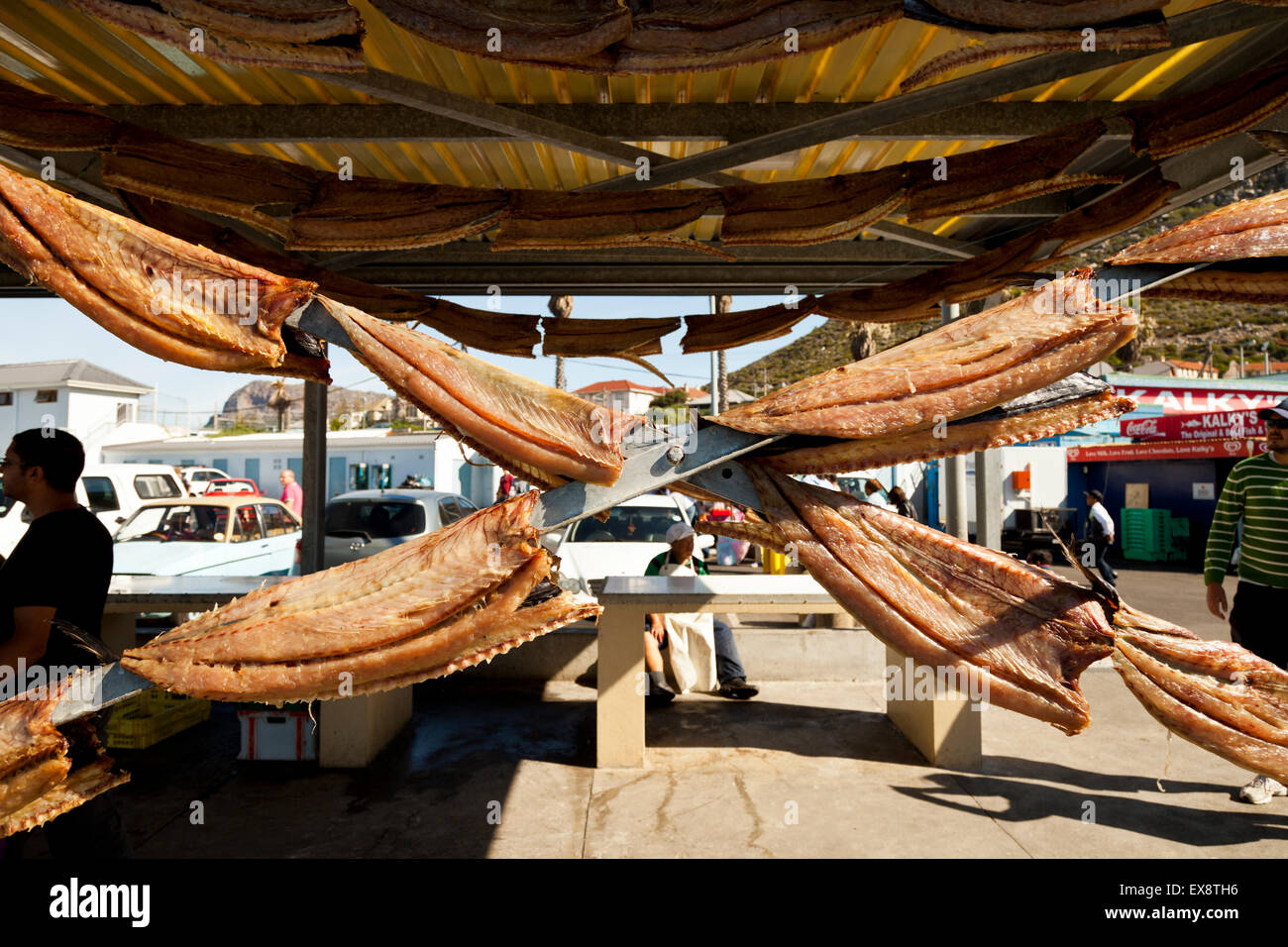 Drying fish in the open air on the docks at Kalk Bay, Cape Town South ...