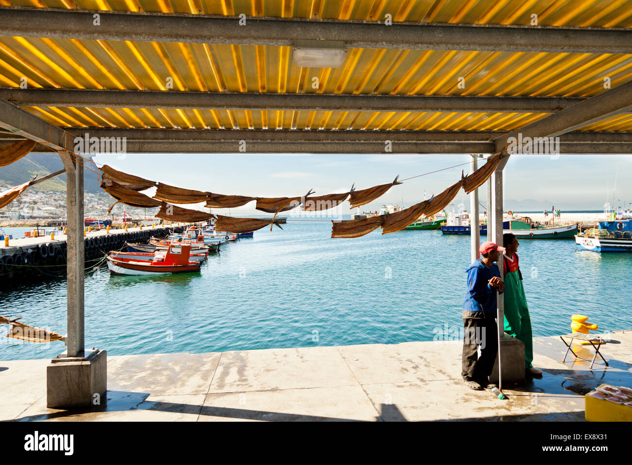 Drying fish in the open air on the docks at Kalk Bay, Cape Town South ...