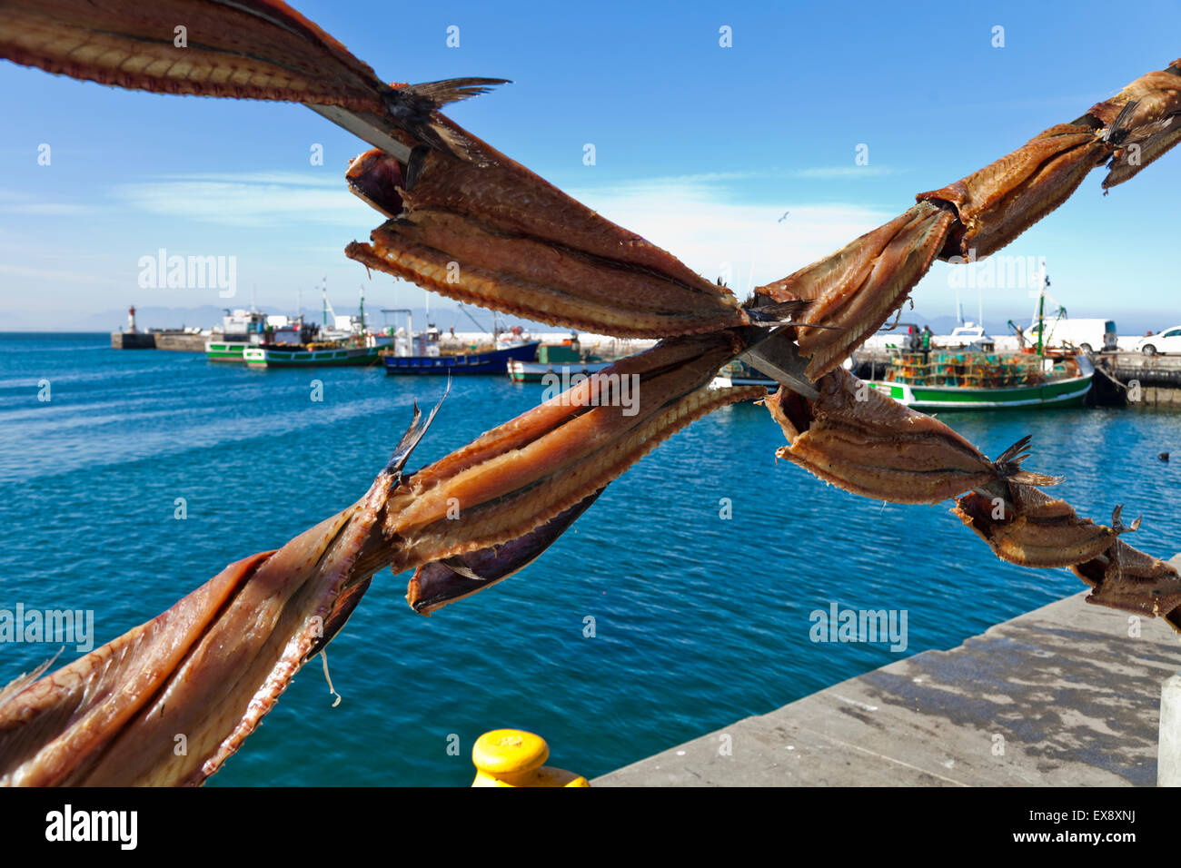 Drying fish in the open air on the docks at Kalk Bay, Cape Town South ...
