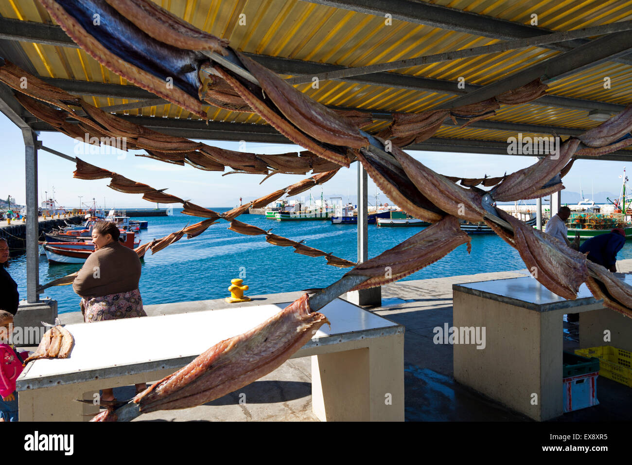 Drying fish in the open air on the docks at Kalk Bay, Cape Town South ...