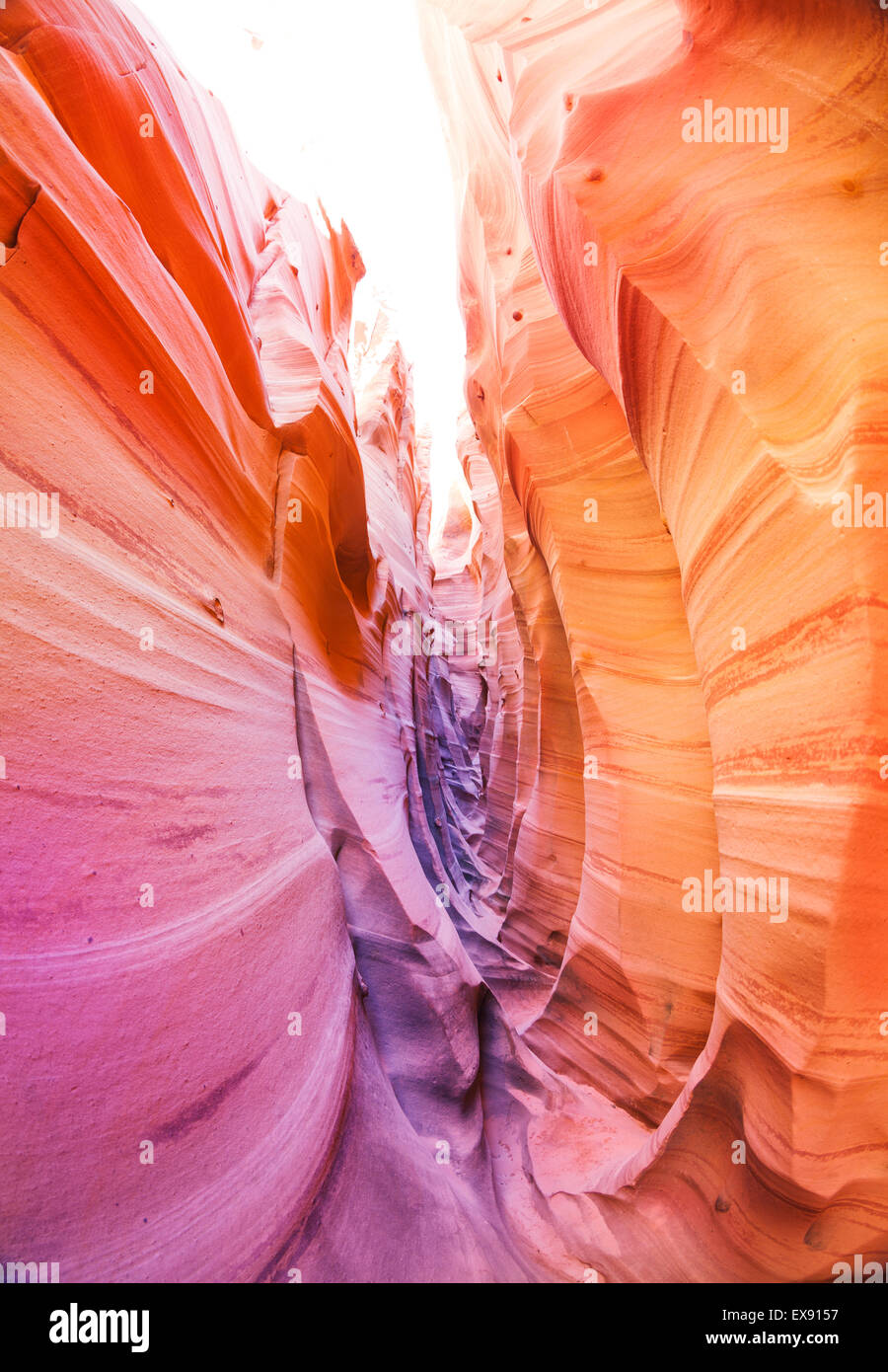 Zebra passage hi-res stock photography and images - Alamy