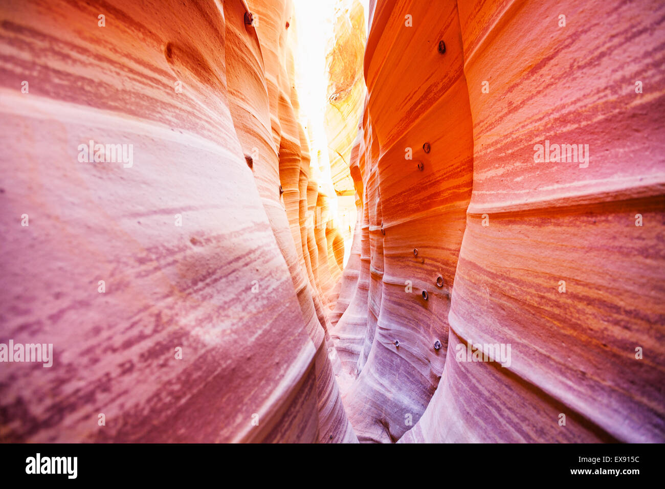 Waves of Zebra Slot Canyon Utah, USA Stock Photo - Alamy