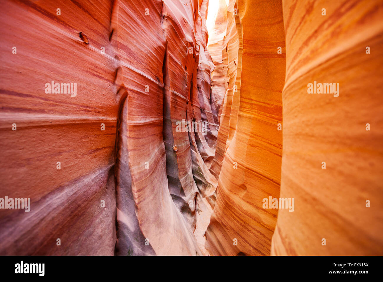 Zebra slot canyon utah hi-res stock photography and images - Alamy