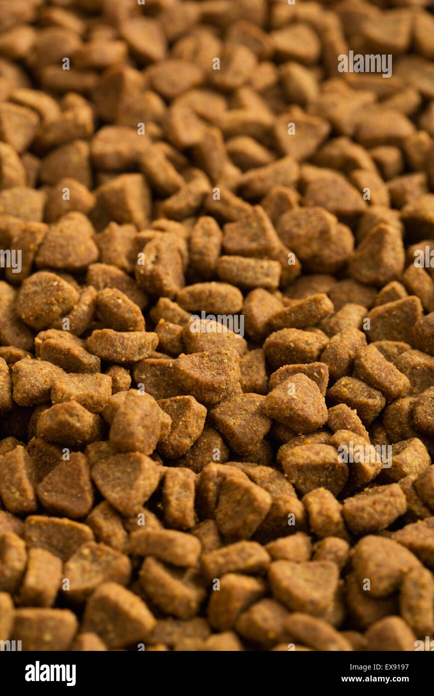 Dry dog food Stock Photo - Alamy