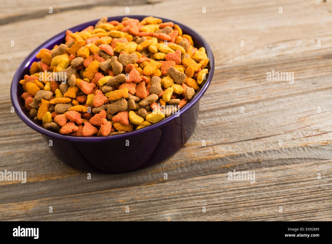 Dry cat food in bowl Stock Photo - Alamy
