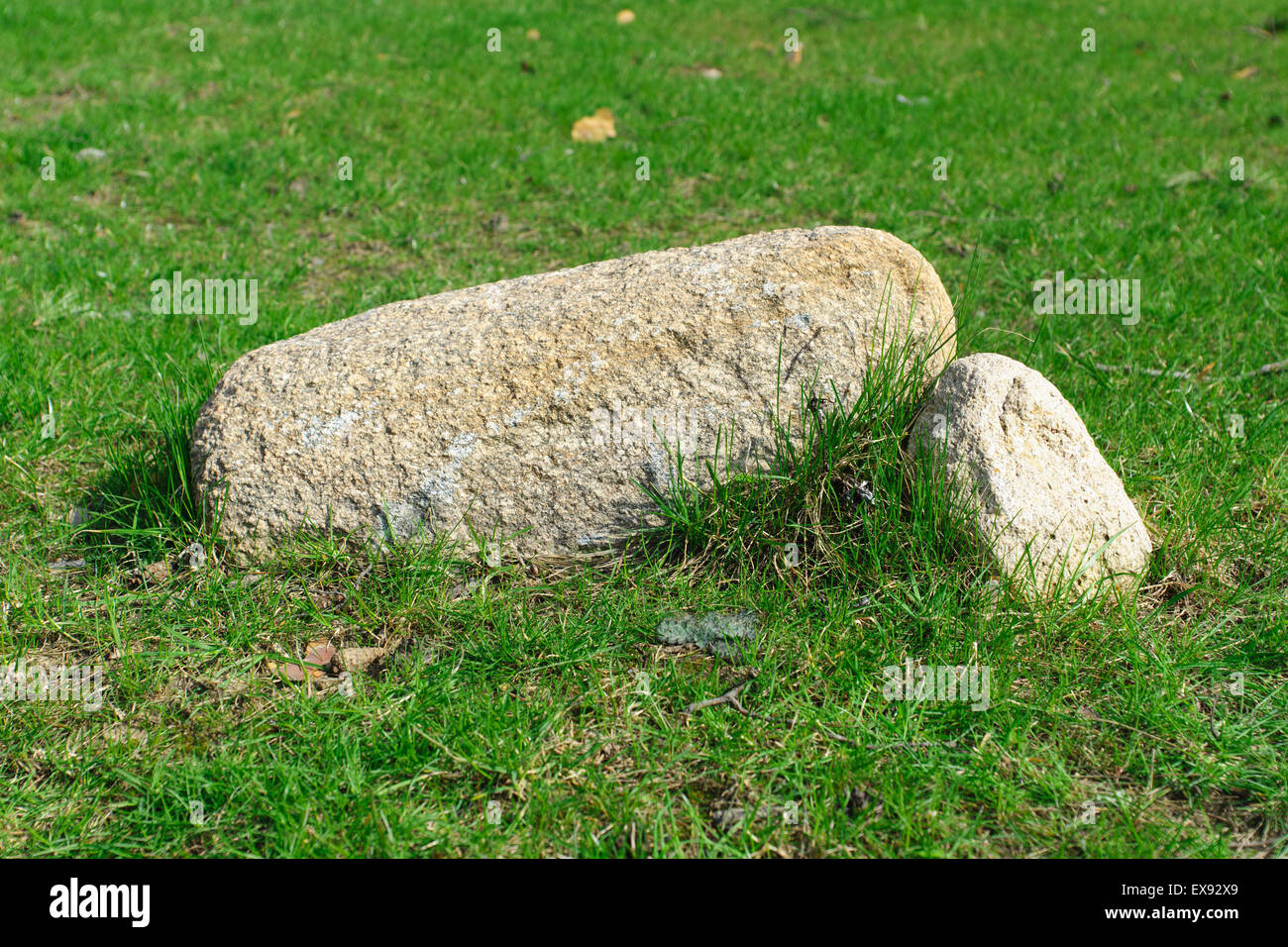 two large stones in a green grass are a confidence and tranquillity ...