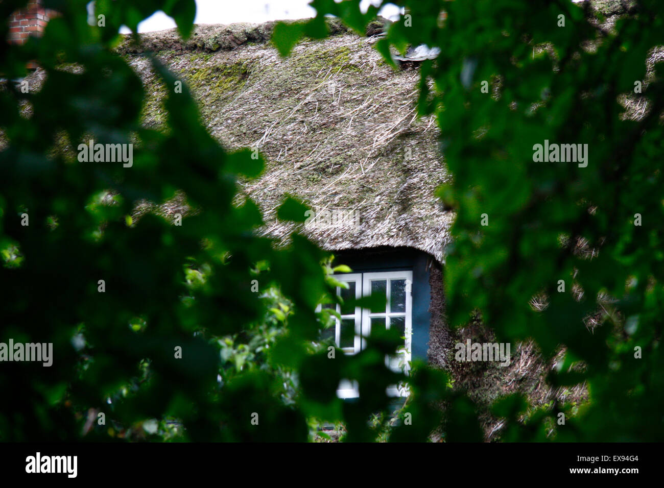 Reetdach, Sylt Stock Photo - Alamy