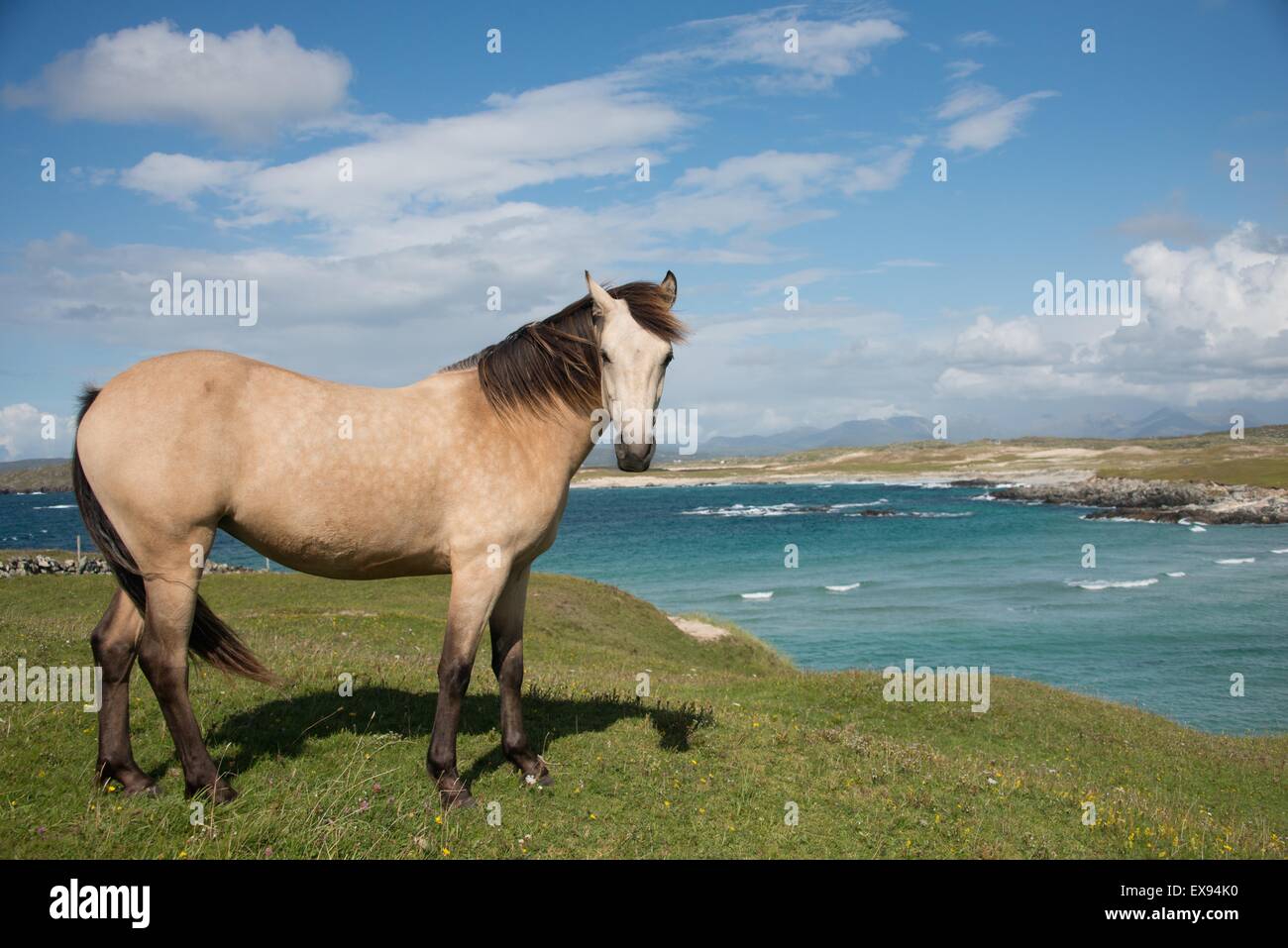 Mannin bay connemara hi-res stock photography and images - Alamy