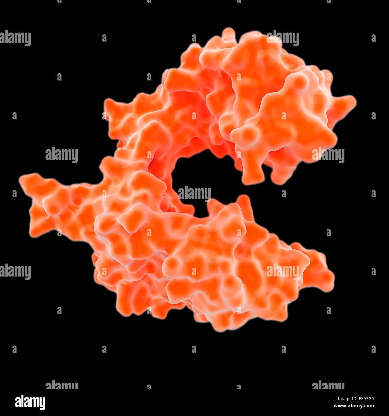 Molecule of protein hi-res stock photography and images - Alamy