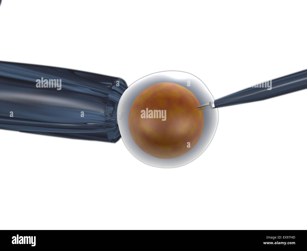 3D illustration of an in vitro cloning assay Stock Photo - Alamy