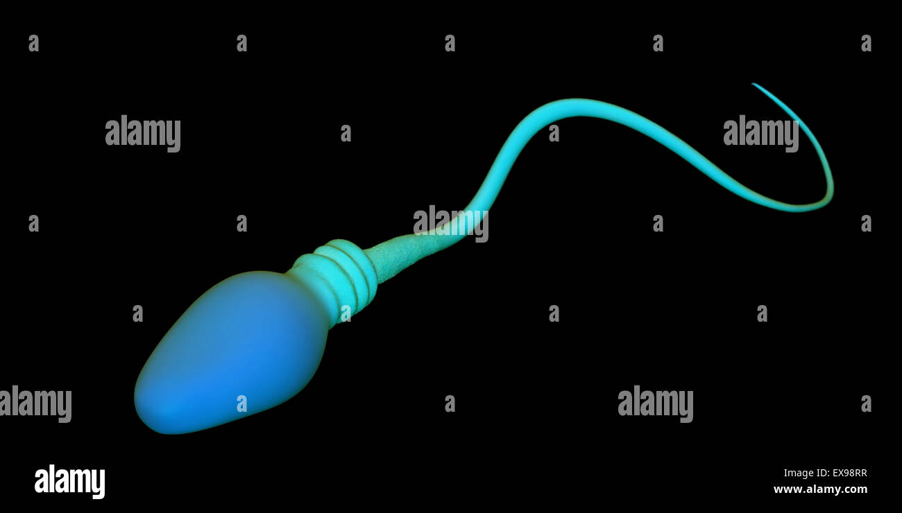 Sperm cell hi-res stock photography and images - Alamy