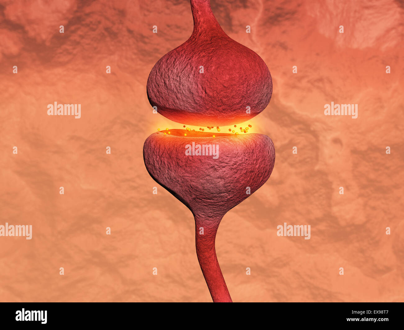 Neuron synapse hi-res stock photography and images - Alamy