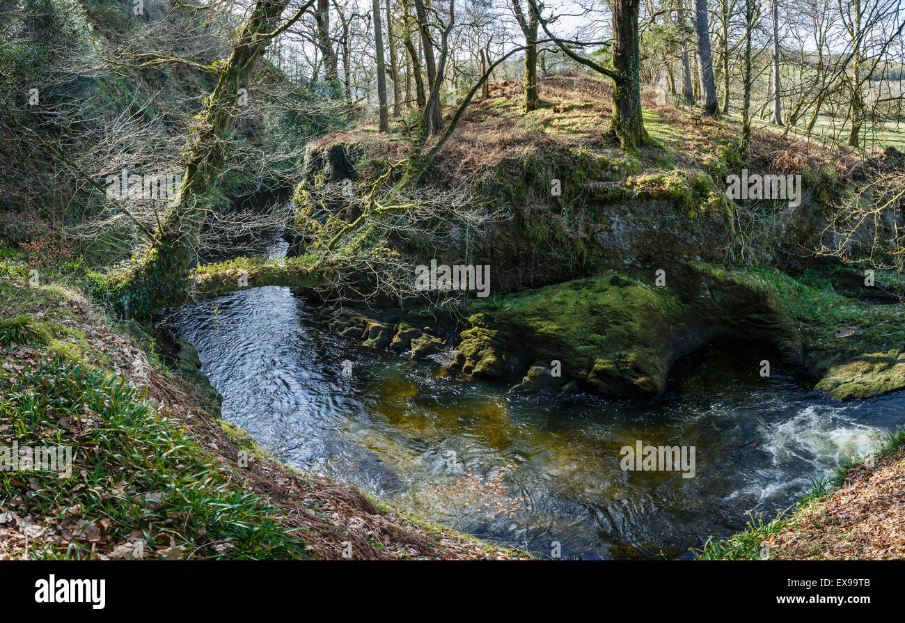 Towy gorge hi-res stock photography and images - Alamy