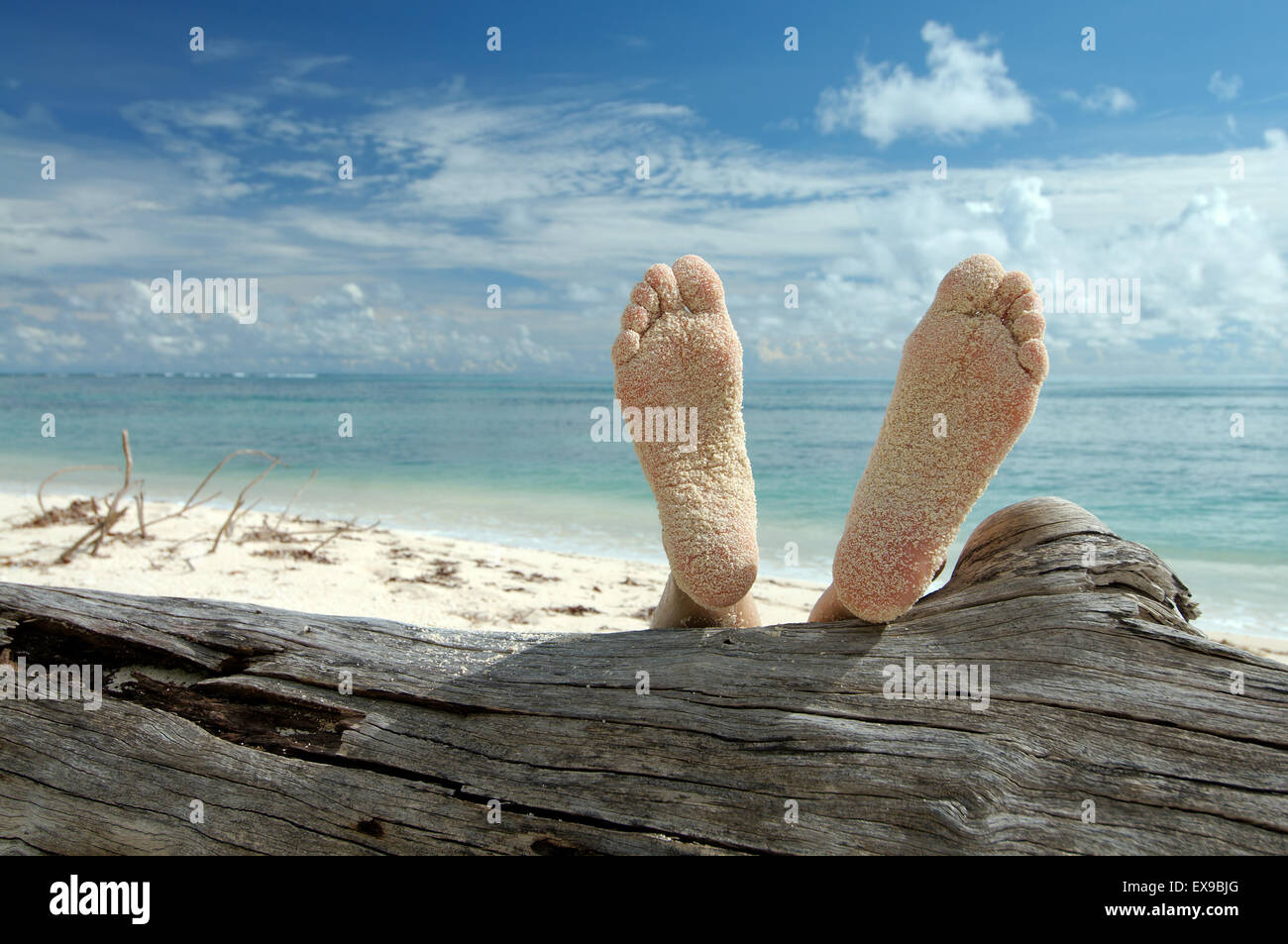 Woman lying on the beach feet up on a tree trunk, Denis island, Indian ...