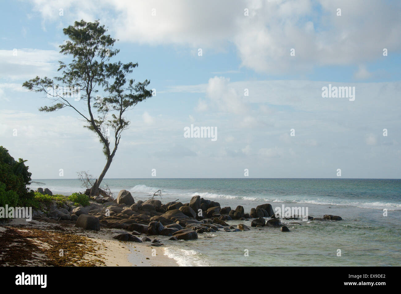 Coastal landscape, Mahe island, Indian Ocean, Seychelles Stock Photo ...