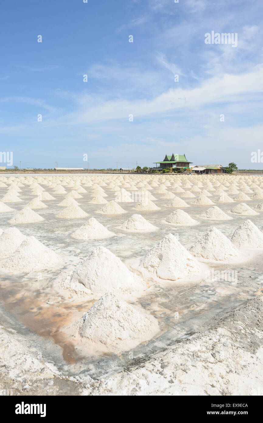 Salt fields in sunny day on SAMUTSAKORN, THAILAND Stock Photo - Alamy