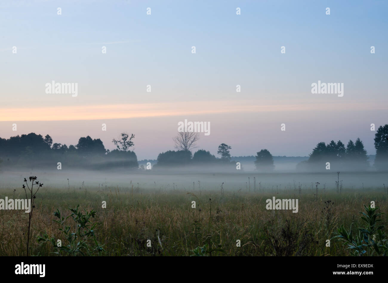 Morning in countryside hi-res stock photography and images - Alamy