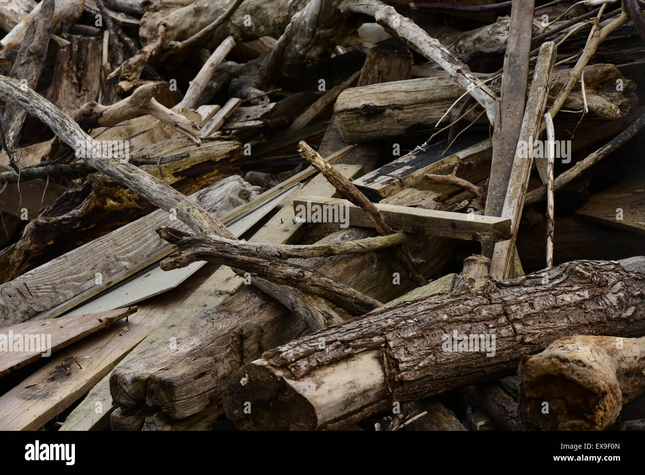 Assorted wood washed up on river foreshore Stock Photo - Alamy
