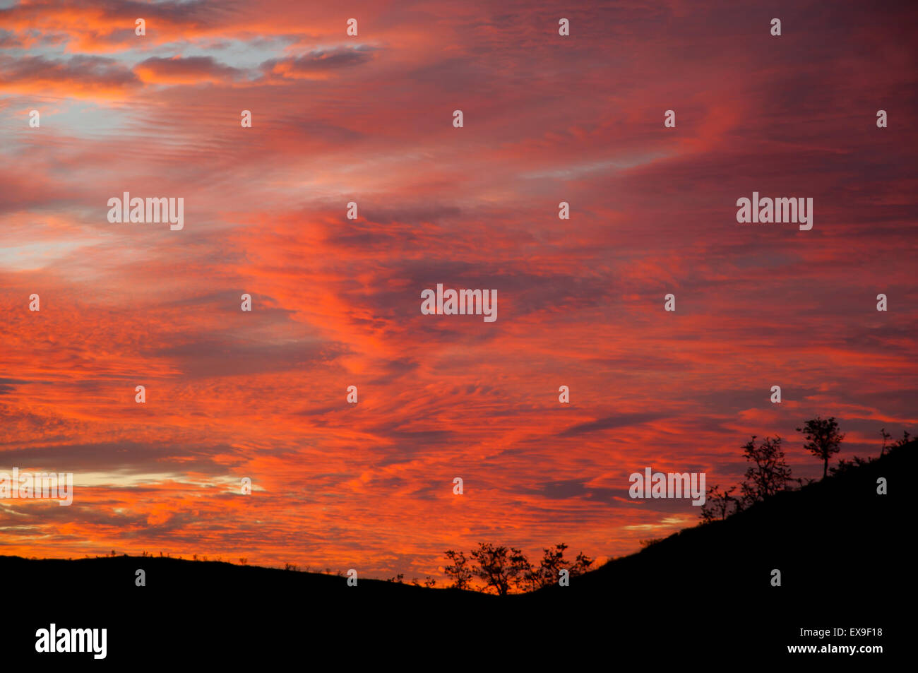 Cirrus clouds at sunset hi-res stock photography and images - Alamy