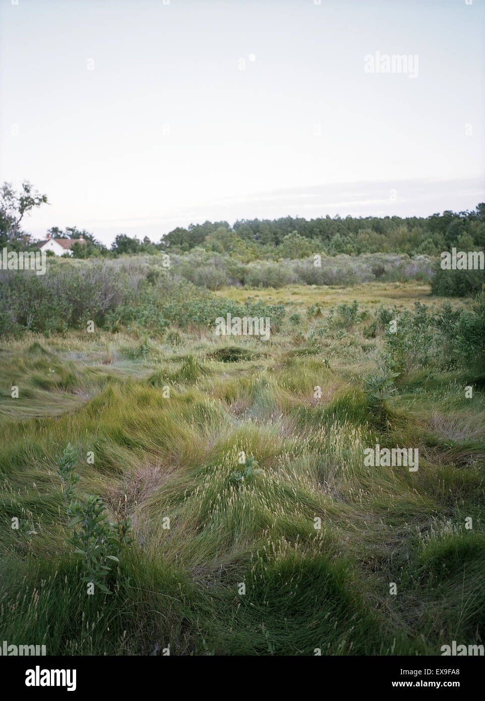 Wavy field hi-res stock photography and images - Alamy